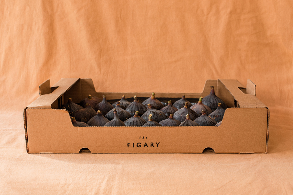 The Figary | South Africa’s Premium Dried Fig Specialists
