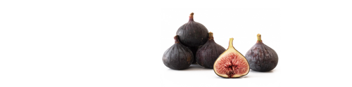 The Figary | South Africa’s Premium Dried Fig Specialists
