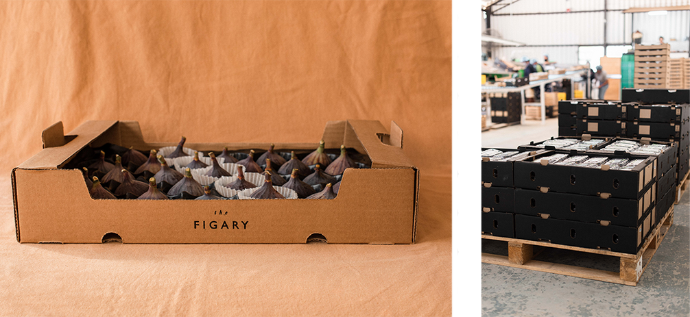 The Figary | South Africa’s Premium Dried Fig Specialists