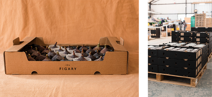 The Figary | South Africa’s Premium Dried Fig Specialists