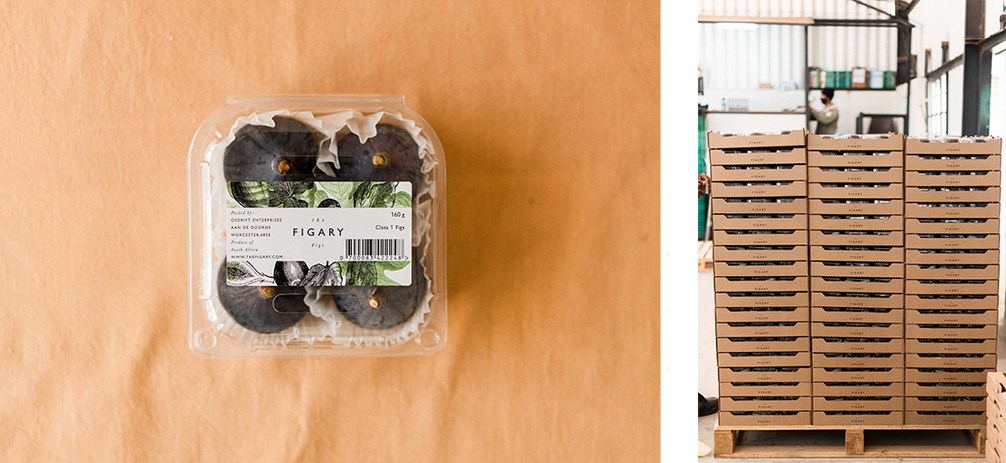 The Figary | South Africa’s Premium Dried Fig Specialists