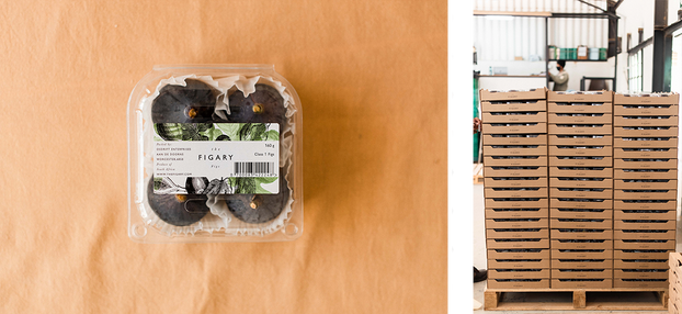 The Figary | South Africa’s Premium Dried Fig Specialists